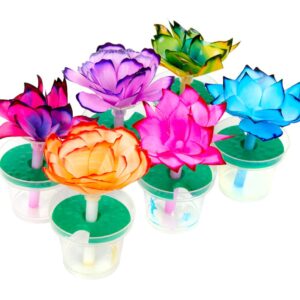 Crayola Paper Flower Science Kit, Color Changing Flowers, Gift for Kids Ages 7, 8, 9, 10