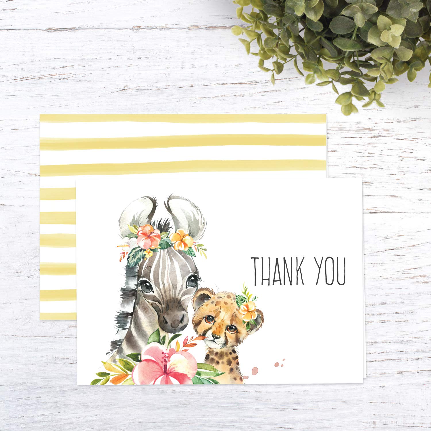 Canopy Street Boho Safari Animal Baby Shower Thank You/New Baby Appreciation Card Set / 24 Jungle Animals Gratitude Cards / 6 Baby Animal Thanks Designs 3 1/2" x 4 7/8" Note Card Pack