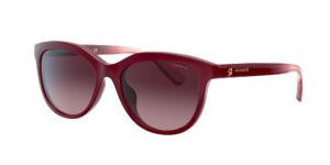 coach sunglasses hc 8285 u 50318h burgundy