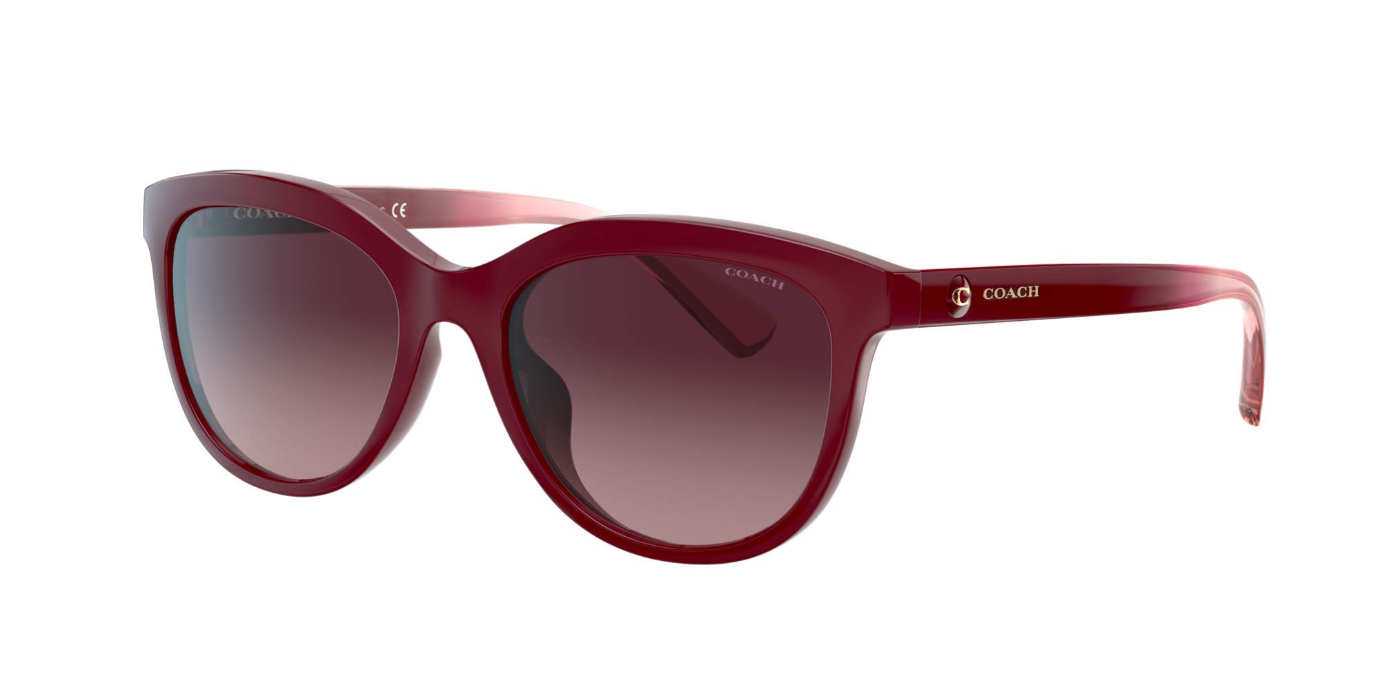 Coach Sunglasses HC 8285 U 50318H Burgundy