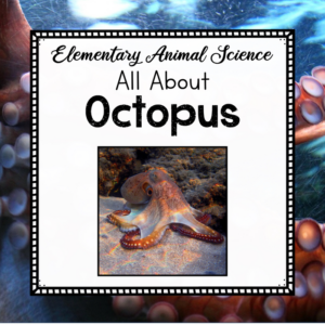 all about octopuses - elementary animal science unit