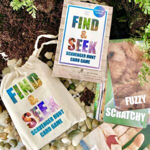 Hapinest Find and Seek Scavenger Hunt Outdoor Indoor Card Game for Kids