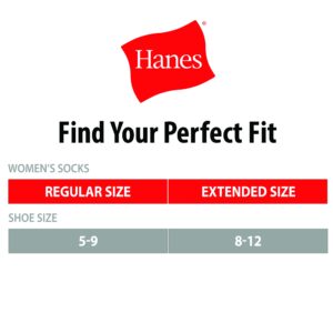 Hanes womens Performance Cool Compression No Show 6 Pair Pack Casual Sock, Grey/Purple/Pink Design, 5 US