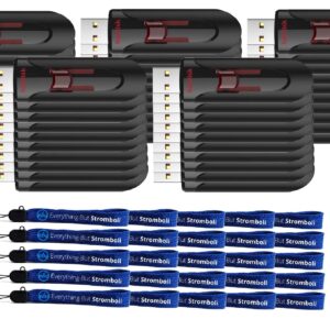 SanDisk 32GB Cruzer Glide 3.0 USB Flash Drive (50 Pack) Pen Drives Works with Laptop Computers with USB 2.0/3.0 Port (SDCZ600-032G-G35) Bundle with (25) Everything But Stromboli Lanyards