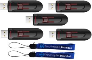 sandisk 256gb cruzer glide 3.0 usb flash drive (5 pack) laptop computer pen drive (sdcz600-256g-g35) bundle with (2) everything but stromboli lanyards