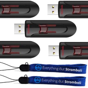 SanDisk 256GB Cruzer Glide 3.0 USB Flash Drive (5 Pack) Laptop Computer Pen Drive (SDCZ600-256G-G35) Bundle with (2) Everything But Stromboli Lanyards