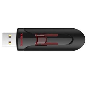 SanDisk 256GB Cruzer Glide 3.0 USB Flash Drive (5 Pack) Laptop Computer Pen Drive (SDCZ600-256G-G35) Bundle with (2) Everything But Stromboli Lanyards