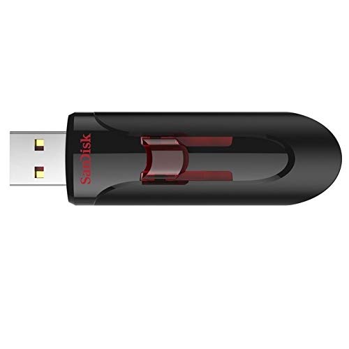 SanDisk 256GB Cruzer Glide 3.0 USB Flash Drive (5 Pack) Laptop Computer Pen Drive (SDCZ600-256G-G35) Bundle with (2) Everything But Stromboli Lanyards