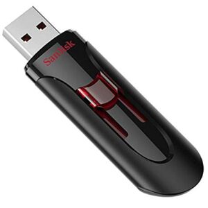 SanDisk 256GB Cruzer Glide 3.0 USB Flash Drive (5 Pack) Laptop Computer Pen Drive (SDCZ600-256G-G35) Bundle with (2) Everything But Stromboli Lanyards