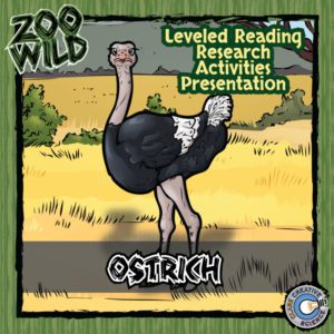 ostrich - 15 zoo wild resources - leveled reading, slides & activities