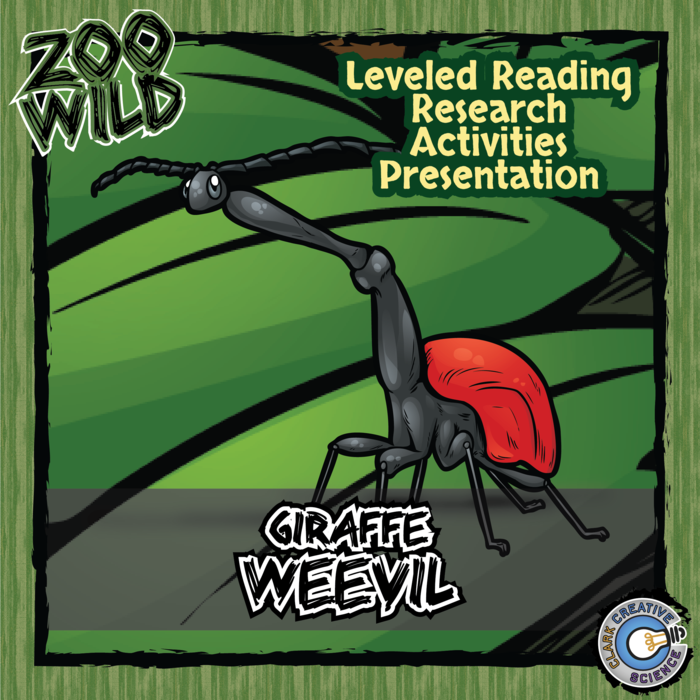 Giraffe Weevil - 15 Zoo Wild Resources - Leveled Reading, Slides & Activities