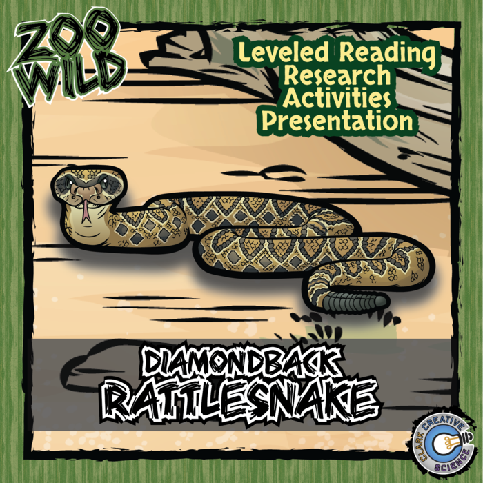 Rattlesnake - 15 Zoo Wild Resources - Leveled Reading, Slides & Activities