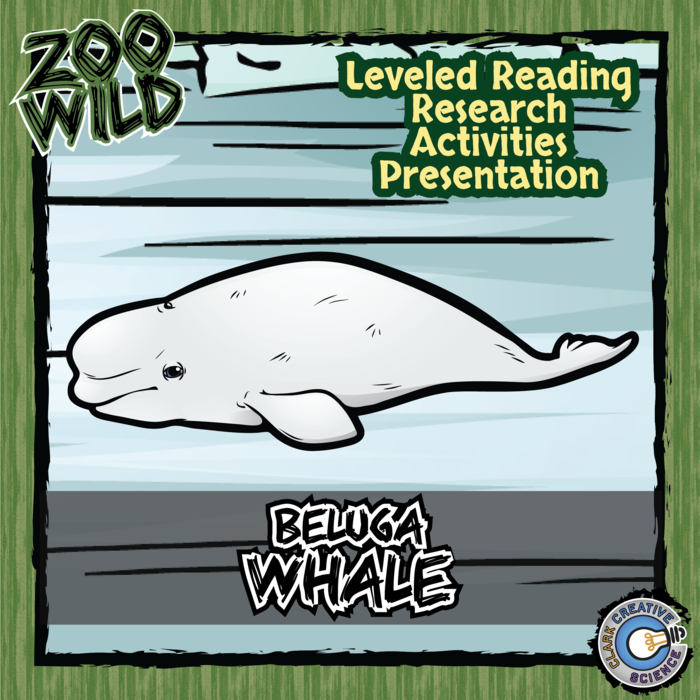 Beluga Whale - 15 Zoo Wild Resources - Leveled Reading, Slides & Activities