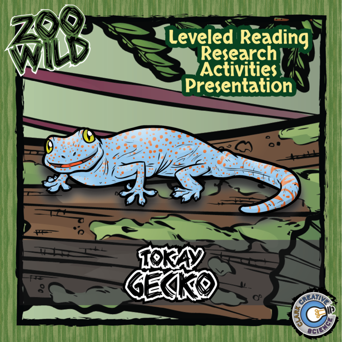 Tokay Gecko - 15 Zoo Wild Resources - Leveled Reading, Slides & Activities