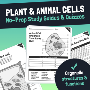 plant & animal cell structures & functions: no prep organelle study guides and quizzes