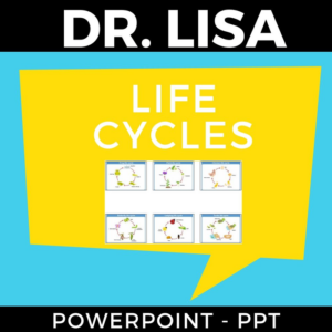 dr. lisa life cycles powerpoint