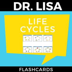 dr. lisa's life cycles flash cards