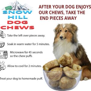 Snow Hill Himalayan Yak Cheese Dog Chews Double Extra Monster 11-13 Oz Grade A Quality, Natural Healthy & Safe for Dogs - Yaky Cheese Bone Golden Treats Keeps Dogs Busy & Enjoying