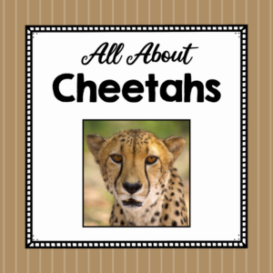 all about cheetahs - elementary animal science unit