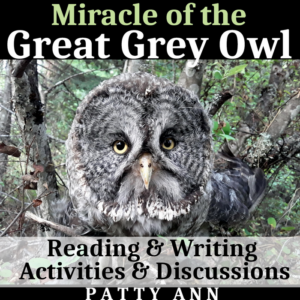 the great grey owl miracle: short adventure story ~ includes *reading *writing *reflection *research & discussion = 4 activities!