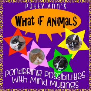 what if animals = 35 photographs with cartoon captions for *icebreakers *critical thinking *activities *recess *break time & discussion starters!