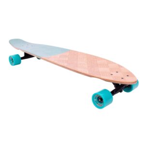 Z-Flex Skateboard - Banana Train Roundtail