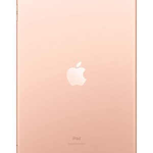 2019 Apple iPad (10.2-inch, Wi-Fi + Cellular, 32GB) - Gold (Renewed)