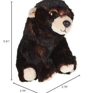 ty - Beanie Babies Brown Bear Kodi - 15 CM