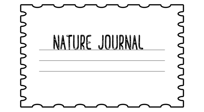 Blank Nature Journal Sketch Pages 8 1/2 x 11 with space for date & Latin Name