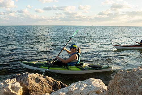 Pelican Symbiosa Kayak Paddle - Adjustable Fiberglass Shaft with Nylon Blades - Lightweight, Perfect for Kayaking - 90.5 to 94.5 in - Light Teal