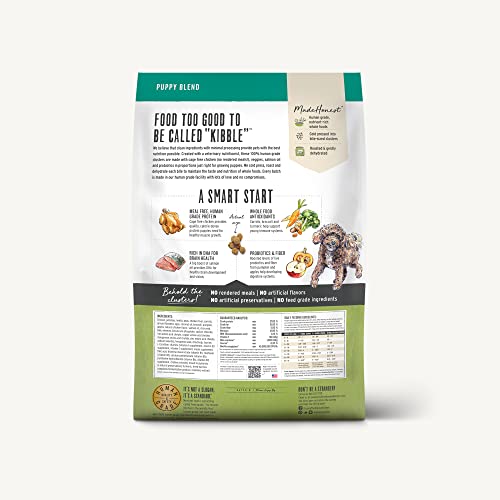 The Honest Kitchen Whole Food Clusters Puppy Grain Free Chicken Dry Dog Food, 20 lb Bag