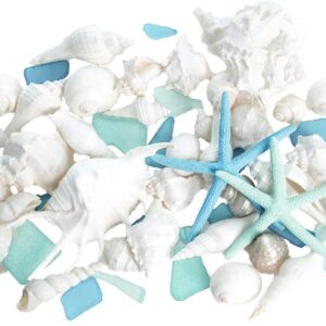 Real Mixed Beach Seashells with Blue & Green Starfish & Aqua and Blue Sea Glass | White Decorative Sea Shell Décor & Blue Seaglass Pieces | Seashell Wedding | Plus Free Nautical eBook by Joseph Rains