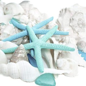 Real Mixed Beach Seashells with Blue & Green Starfish & Aqua and Blue Sea Glass | White Decorative Sea Shell Décor & Blue Seaglass Pieces | Seashell Wedding | Plus Free Nautical eBook by Joseph Rains