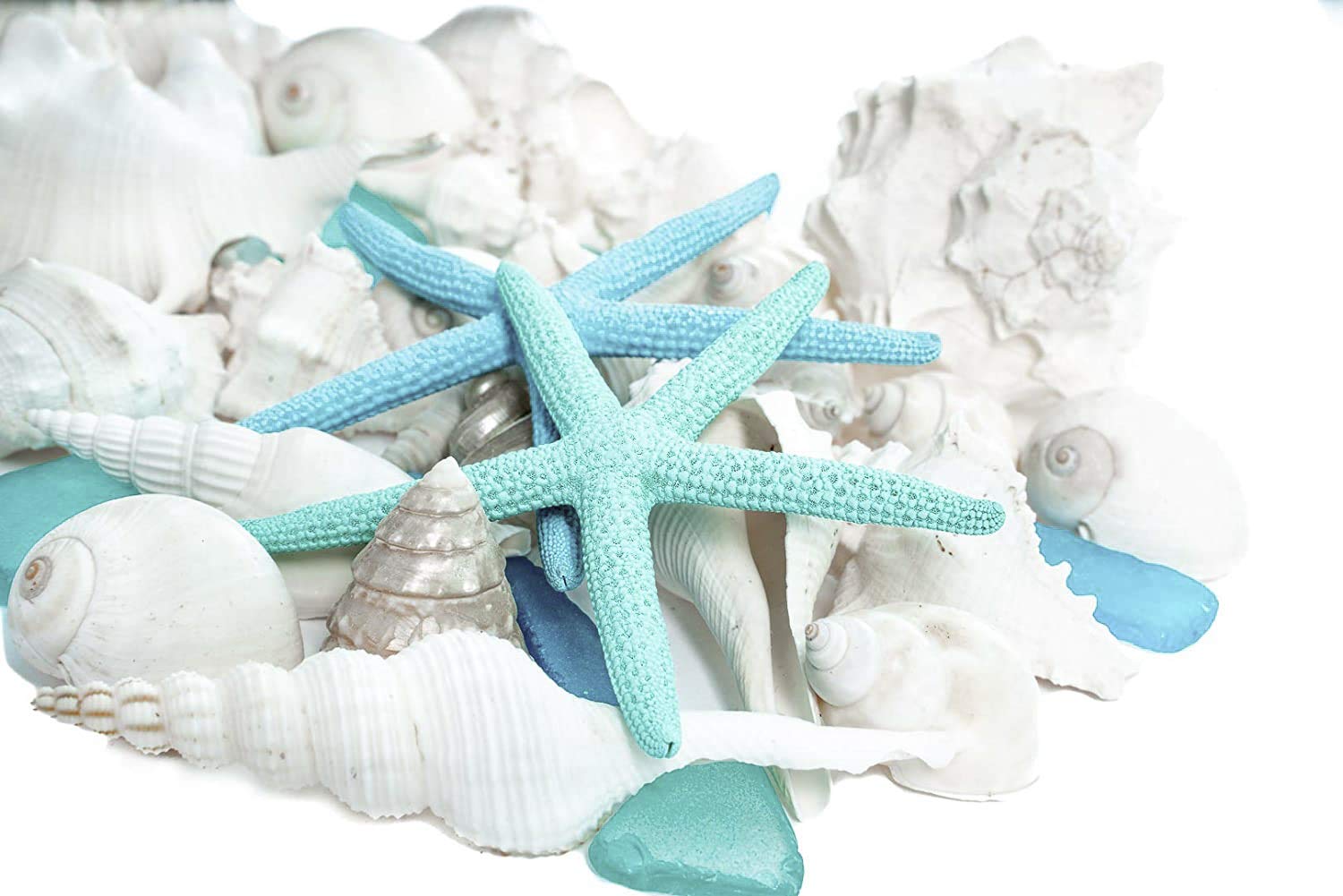 Real Mixed Beach Seashells with Blue & Green Starfish & Aqua and Blue Sea Glass | White Decorative Sea Shell Décor & Blue Seaglass Pieces | Seashell Wedding | Plus Free Nautical eBook by Joseph Rains