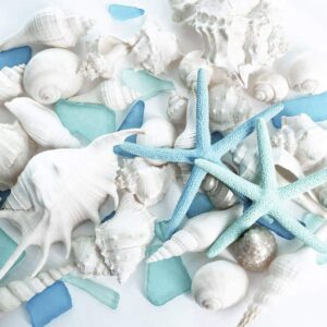 Real Mixed Beach Seashells with Blue & Green Starfish & Aqua and Blue Sea Glass | White Decorative Sea Shell Décor & Blue Seaglass Pieces | Seashell Wedding | Plus Free Nautical eBook by Joseph Rains