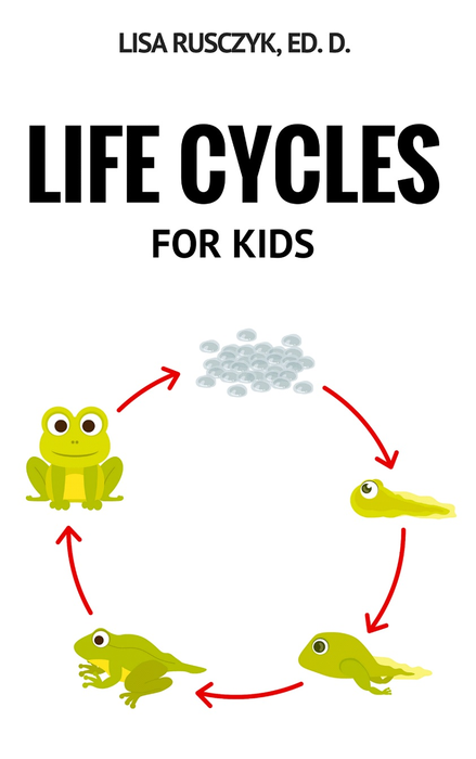 Life Cycles For Kids