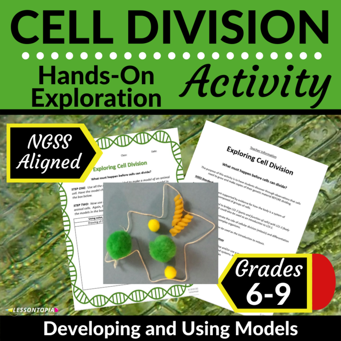 Cell Division Activity