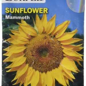 Burpee Sunflower Seed, 1 EA