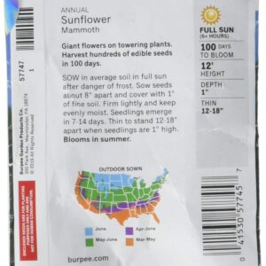 Burpee Sunflower Seed, 1 EA