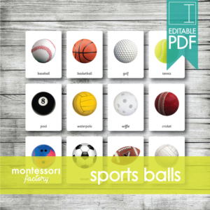 sport balls • montessori cards • flash cards • three part cards • nomenclature cards • educational material • montessori printable • editable pdf