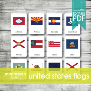 united states flags montessori cards, flash cards, three part cards, nomenclature cards, educational material, printable, editable pdf