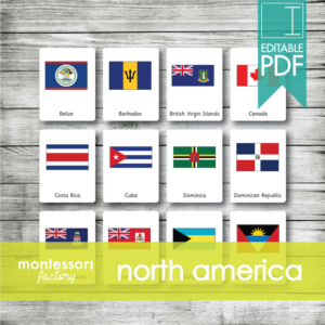 north america flags montessori cards, flash cards, three part cards, nomenclature cards, educational material, montessori printable, editable pdf