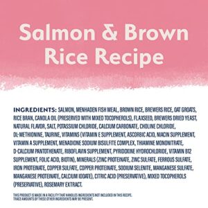 Natural Balance Limited Ingredient Adult Dry Dog Food with Healthy Grains, Salmon & Brown Rice Recipe, 12 Pound (Pack of 1)