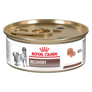 royal canin veterinary diet feline and canine recovery rs in gel canned cat and dog food, 5.8 oz