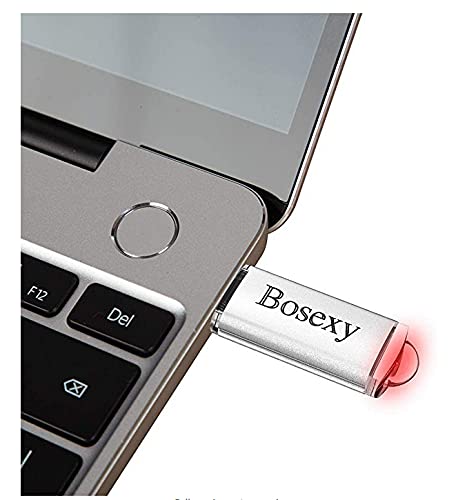 USB Flash Drives 1GB 10 Pack, Bosexy Thumb Drives Cap Design USB 2.0 Stick with Led Indicator Lanyards(5 Mixed Colors: Black Blue Silver Purple Red)