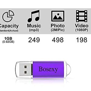 USB Flash Drives 1GB 10 Pack, Bosexy Thumb Drives Cap Design USB 2.0 Stick with Led Indicator Lanyards(5 Mixed Colors: Black Blue Silver Purple Red)