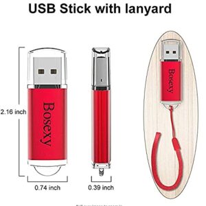 USB Flash Drives 1GB 10 Pack, Bosexy Thumb Drives Cap Design USB 2.0 Stick with Led Indicator Lanyards(5 Mixed Colors: Black Blue Silver Purple Red)