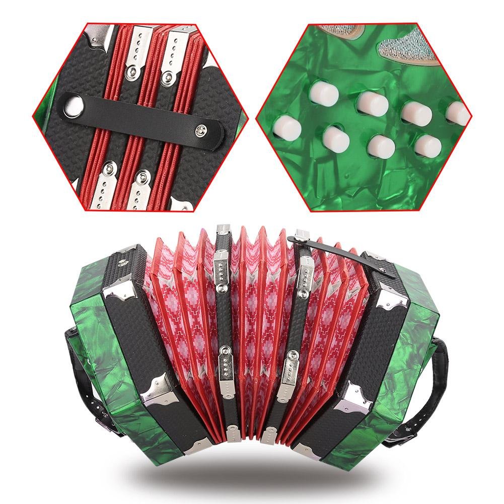 Accordion, Professional 20 Buttons Accordion Concertina for Kids/Adults, Musical Instrument Accessory(Green)