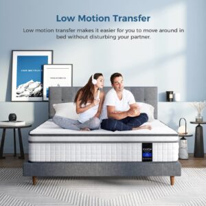 Inofia Queen Mattress, 10 Inch Queen Size Mattresses, Layers of Cool Memory Foam with Motion Individually Pocket Coils, Breathable Comfortable Hybrid Mattress, Supportive & Pressure Relief for Couples