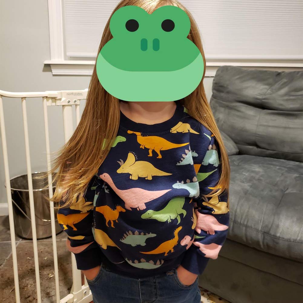 Julerwoo Girls Cotton Sweatshirts Dinosaur Printed Crewneck Tops (2T, Navy)